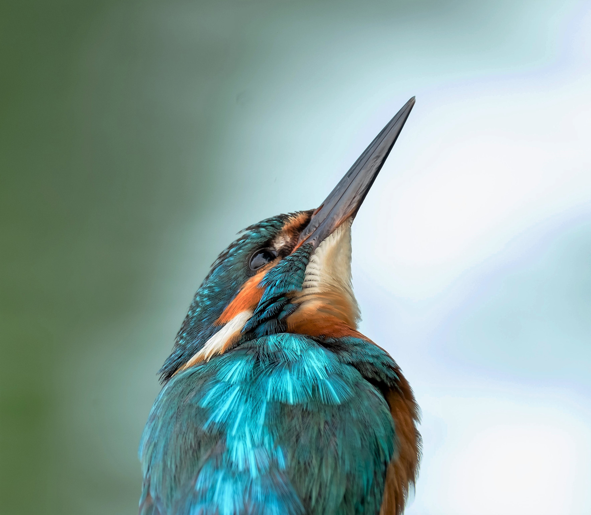 untitled by C Y R I L | 500px