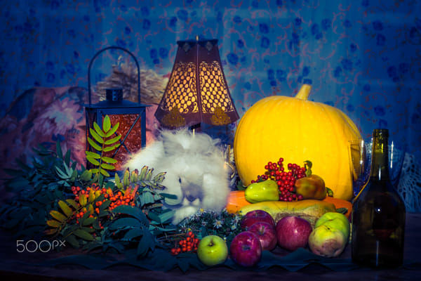 Still to day of thanksgiving with autumn vegetables, fruit, pump by ...