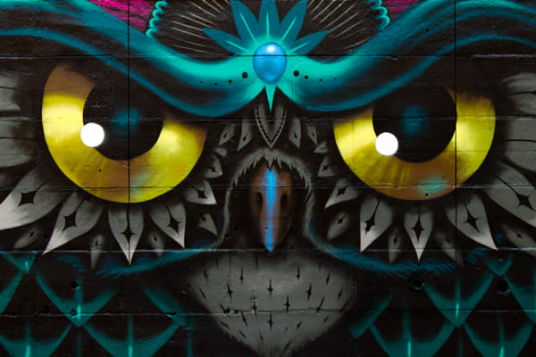 Owl Street Art by Nick Kotula / 500px