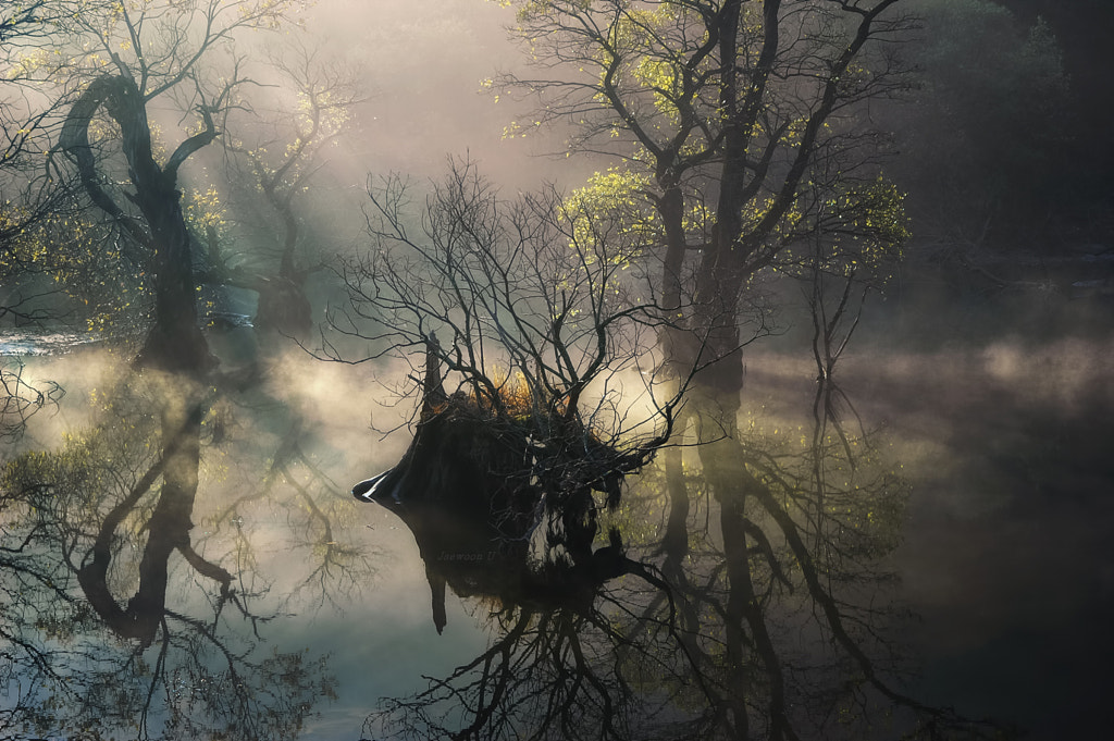 Morning Light by Jaewoon U / 500px