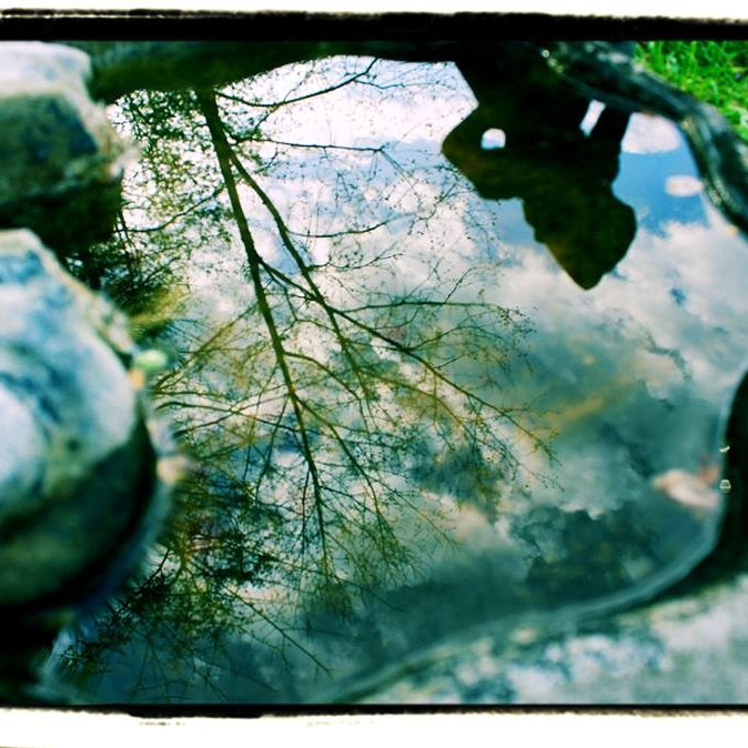 A Reflection to reflect upon by Tammy's Ultimate Image / 500px