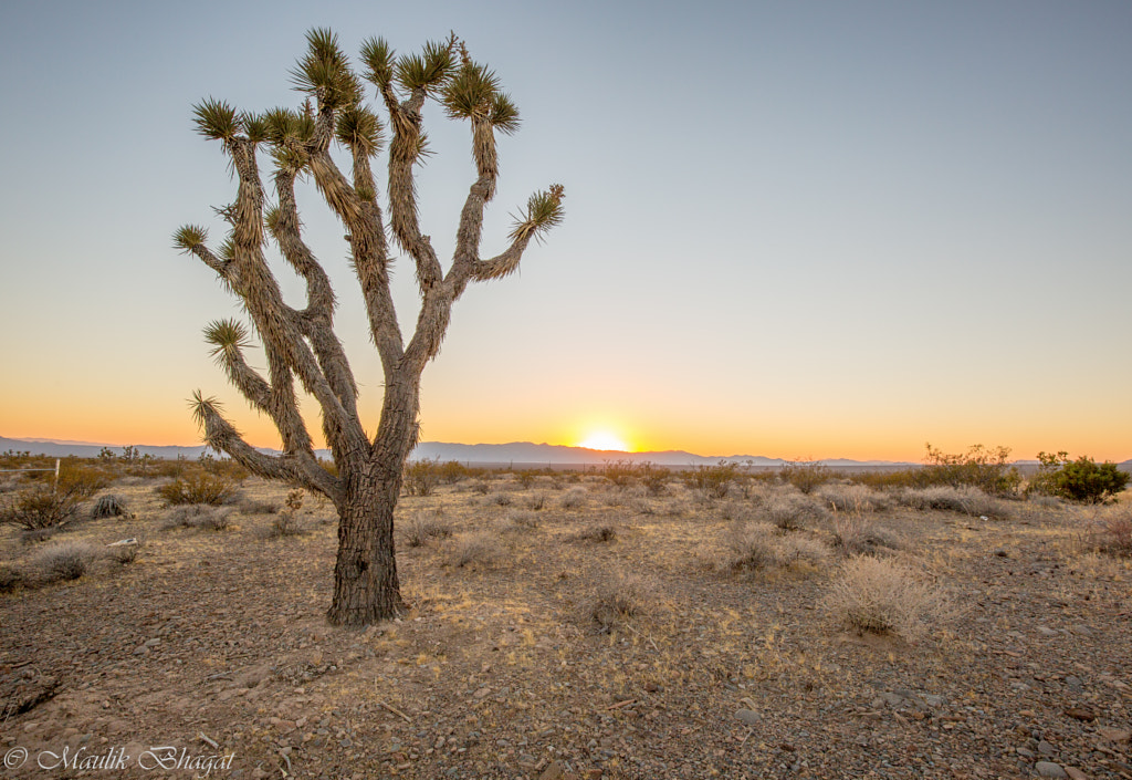 Death Valley- Sun set by maulik bhagat / 500px