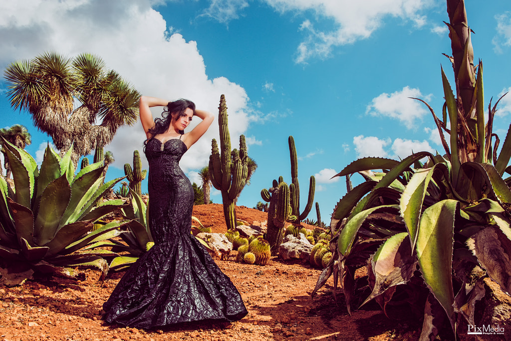 Botanicus by Thomas Rathmann / 500px