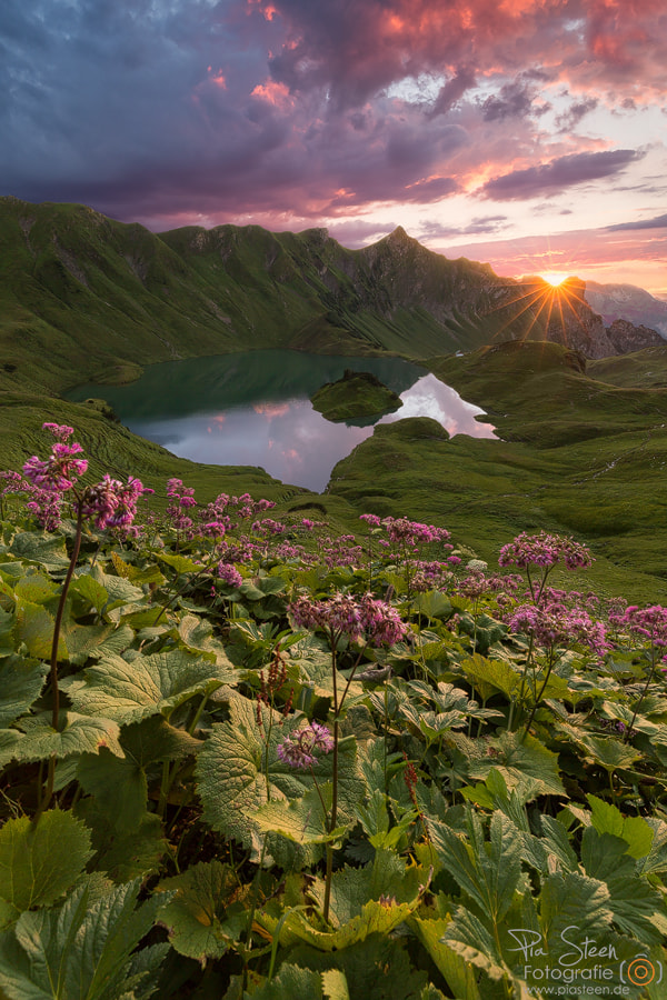 Last summer days by Pia Steen / 500px