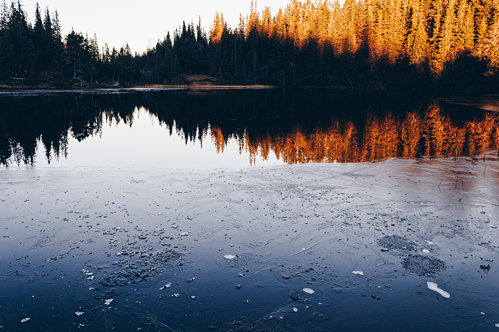 Water Reflection by Jkaode Photo / 500px