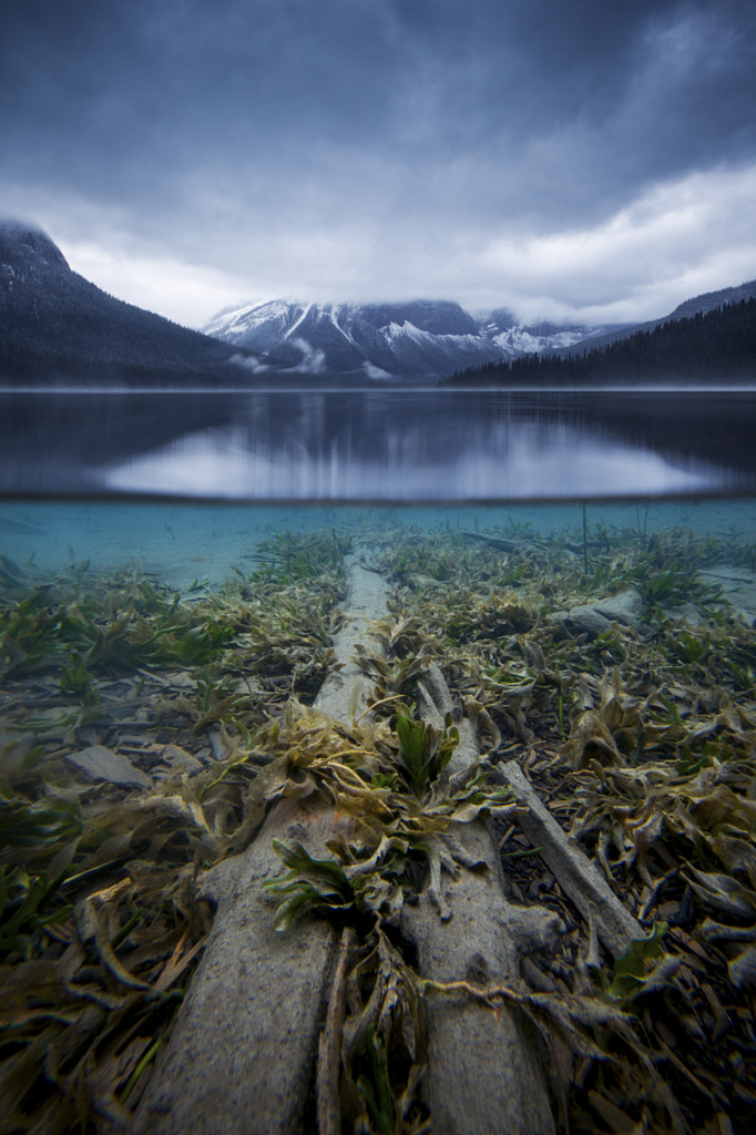 Sunken Gardens by Paul Zizka / 500px