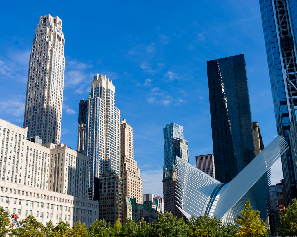 World Trade Center Complex by Ron Fredericks / 500px