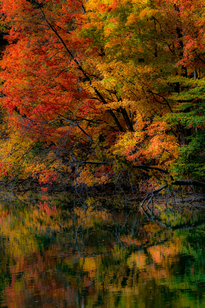 Splash px by Michael Rochford / 500px