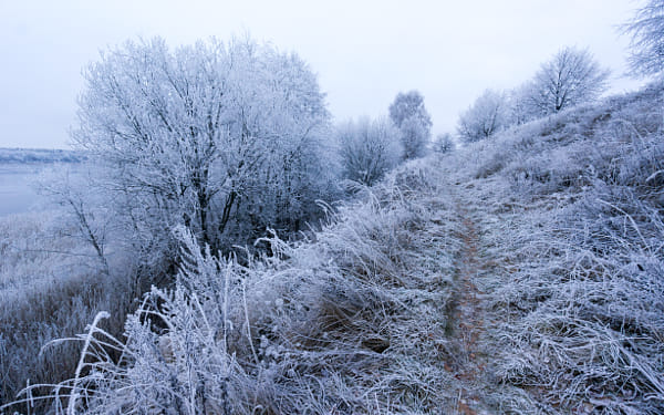@Matsuda by Hitoshi NAKAMURA | 500px