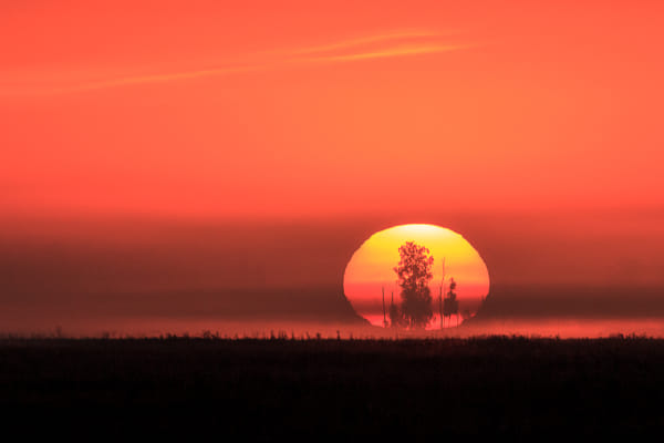 @Matsuda by Hitoshi NAKAMURA | 500px