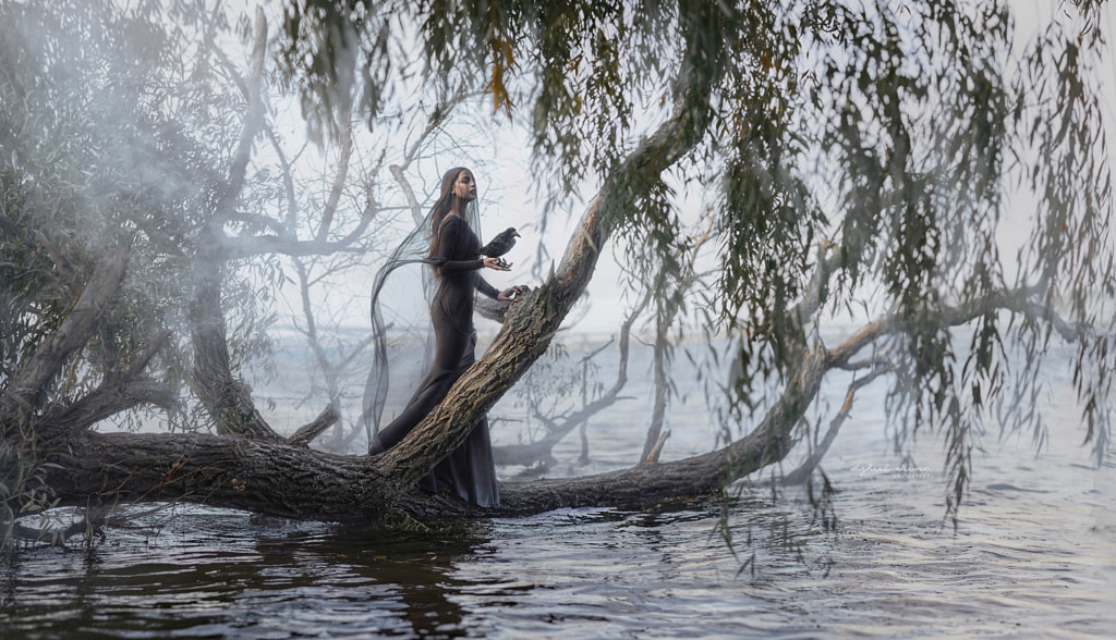 Lady raven by Irina Dzhul / 500px