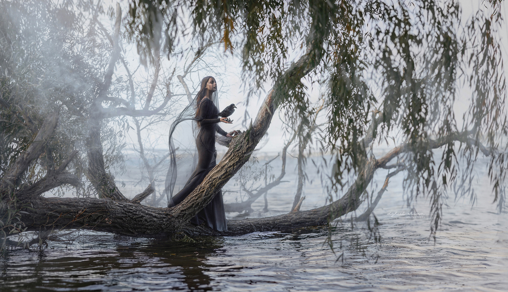 Lady raven by Irina Dzhul / 500px