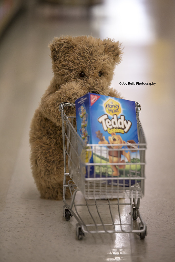 Teddy B Went Shopping by Joy Bella Photography / 500px
