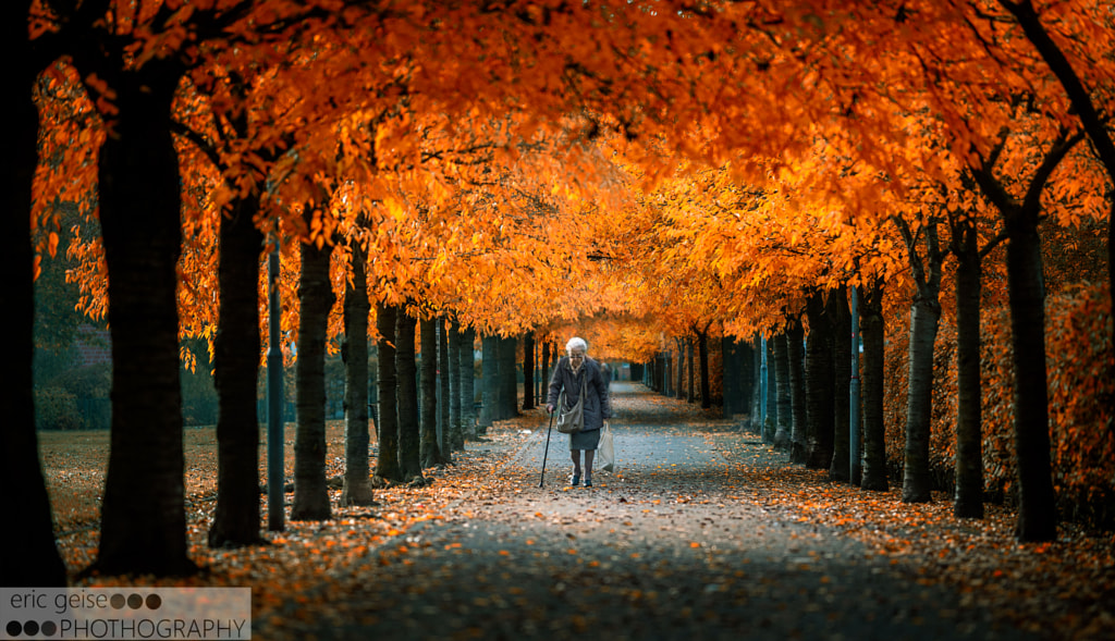 Allee by Eric Geise / 500px