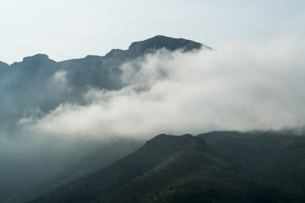 Chapman Drive Fog by Sam Unger | 500px