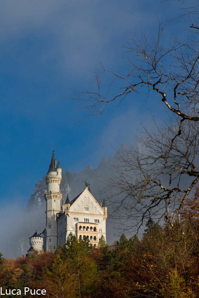 Castello di Neuschwanstein-Neuschwanstein Castle by Luca Puce | 500px