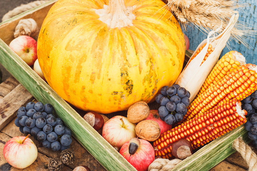 Thanksgiving day: Tray of different autumn vegetables by Елизавета Ткач ...