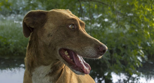 Cansancio de Fiona by Marcelo Rizzo | 500px