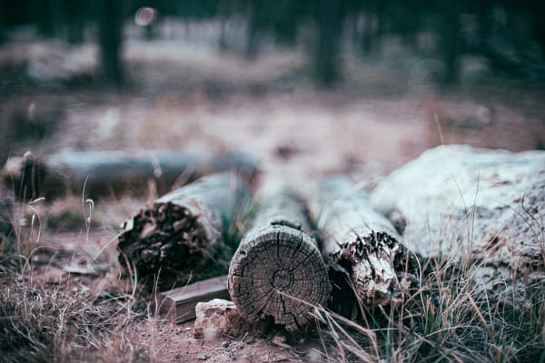 Fallen Telephone Poles by Brian Kern / 500px