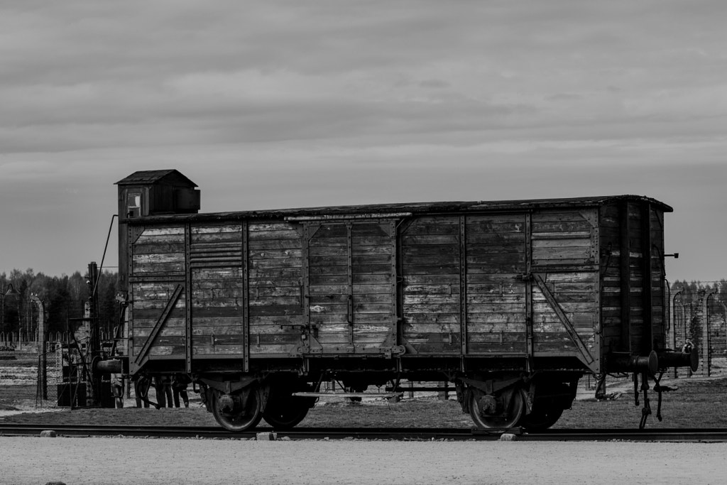 Cattle Train in Auschwitz by Tobias Bjerkholt Svensson / 500px