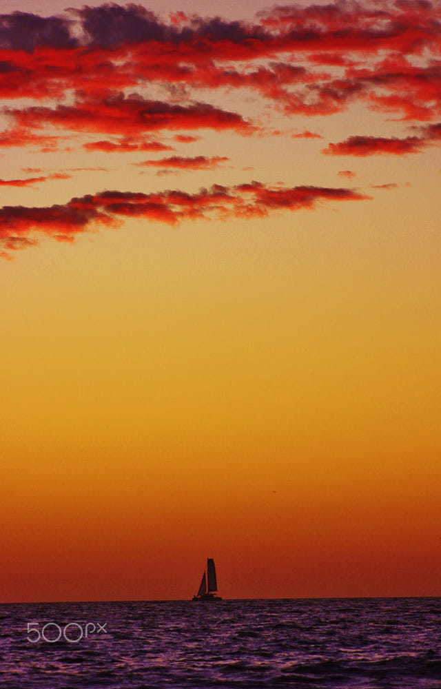Amazing Sunset on the Pacific ocean beaches by Slavica Bogdanov / 500px