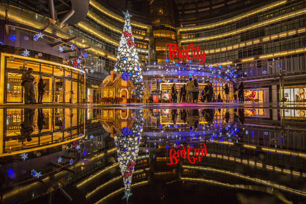 Yan-Yu Jeng's Photos & Galleries | 500px