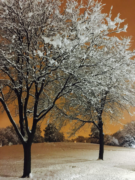 Hale Park Chicago by Mark Urso / 500px