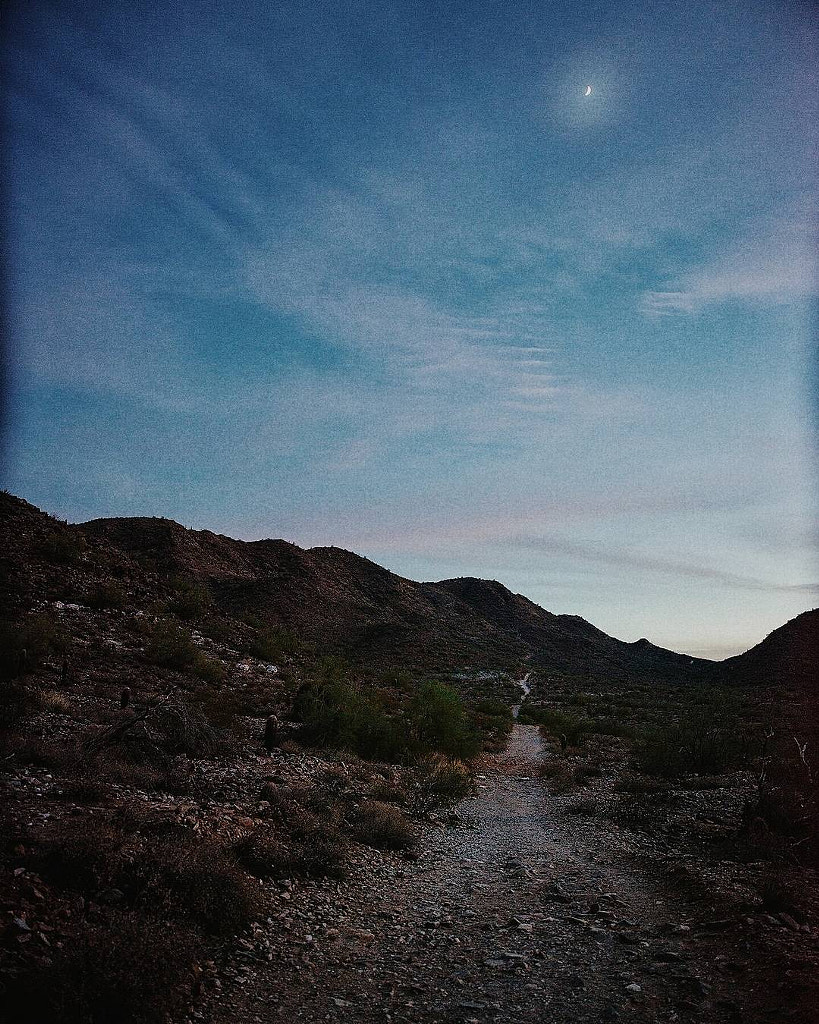 What you need to know about using high ISO settings in your photography ...