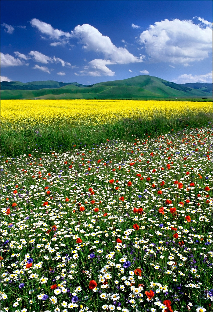 Italian Spring by Alessandro Ferretti / 500px