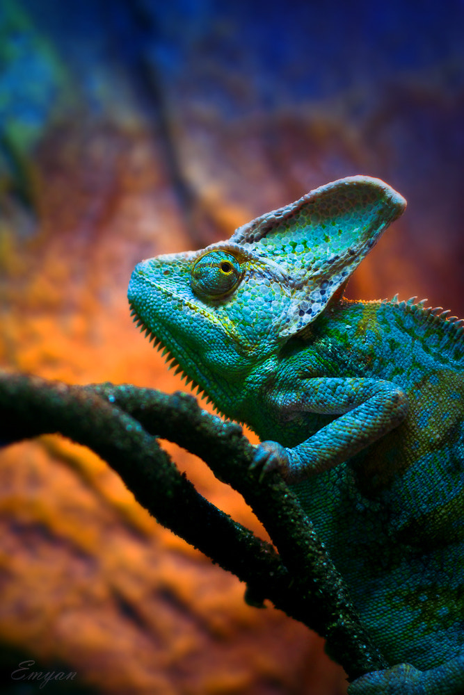 The Profile by Irene Mei / 500px