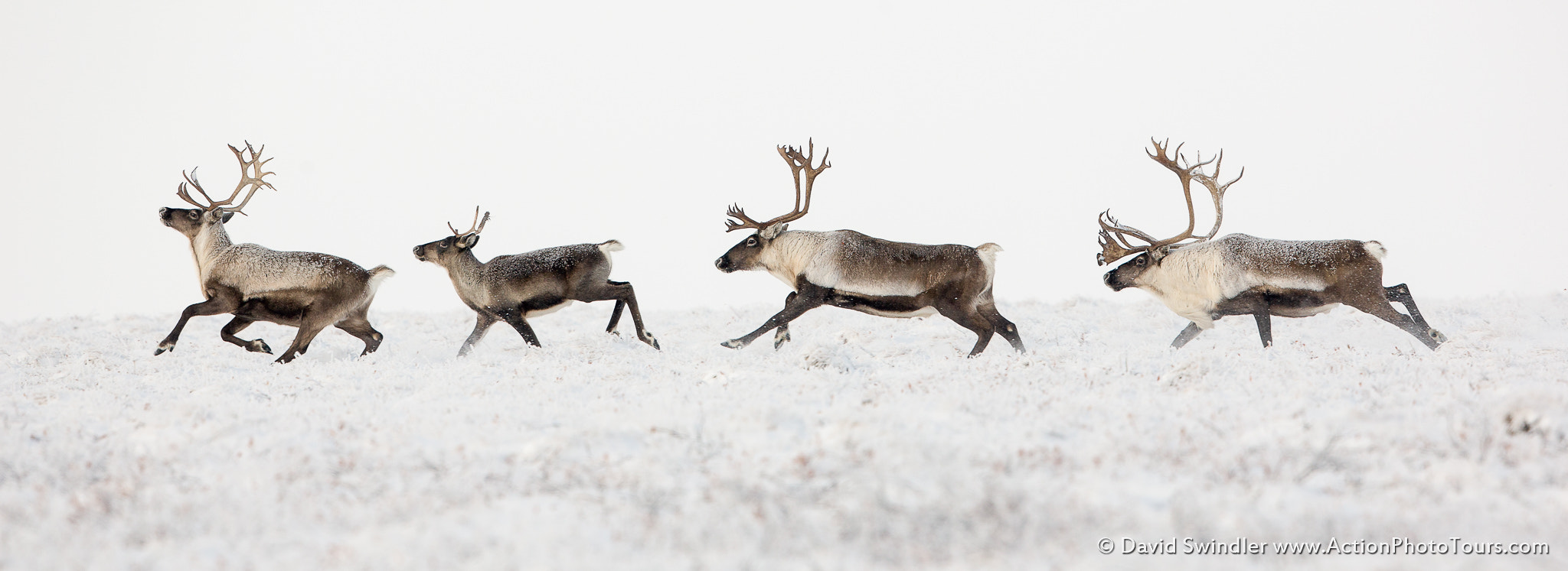 David Swindler | Feature curated by 500px / 500px