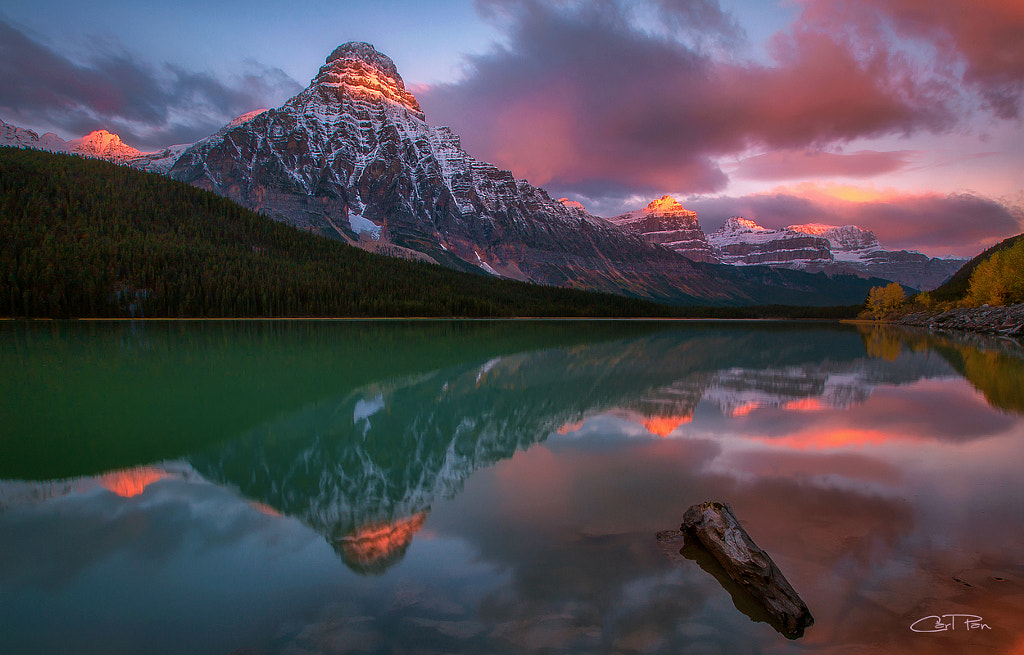 Mt Chephren by Carl Pan / 500px