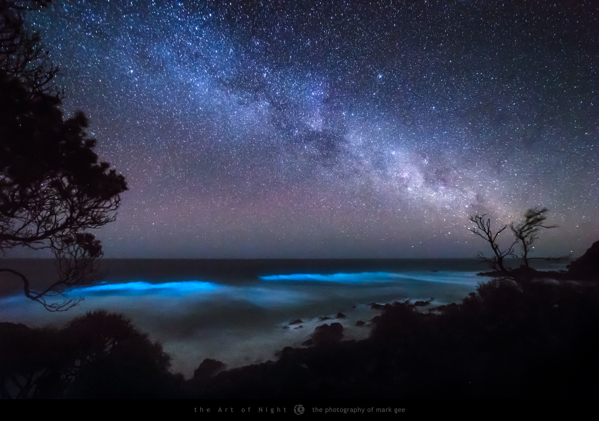Bioluminescence Under A Starry Sky by Mark Gee / 500px