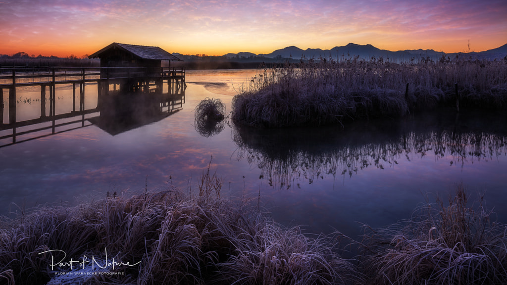 LAKESIDE MORNING by Florian Warnecke / 500px