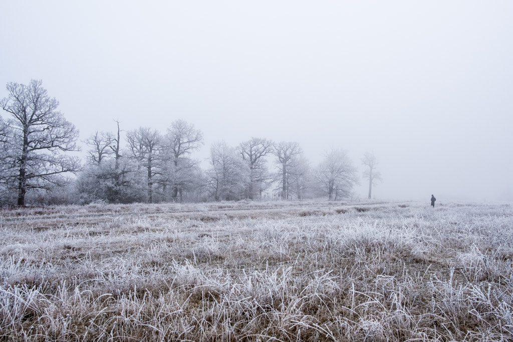 US Truppenübungsplatz Brönnhof by David Hellmann / 500px