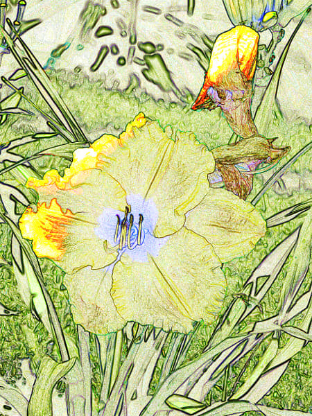 Flowers and GeoEngineering don't mix. by Dr. Chaplain Kenneth Newlin ...