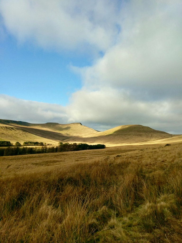 View from the top on the Fan Dance by James Seth Owens by Alwyn Owens ...
