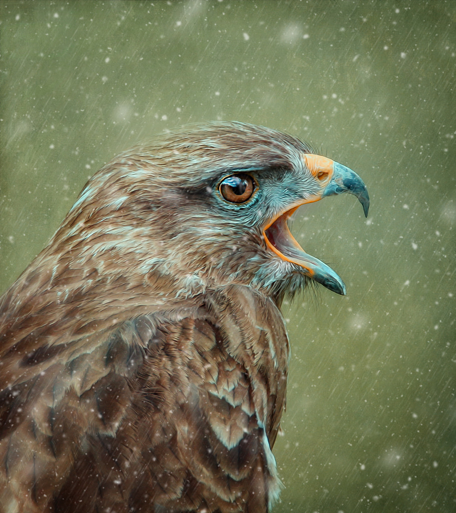 stormy weather by Detlef Knapp / 500px