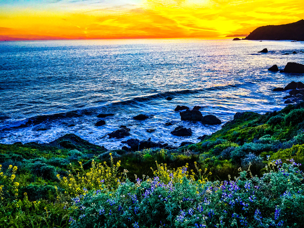 Springtime Ocean Sunset by Jessica Tevik / 500px