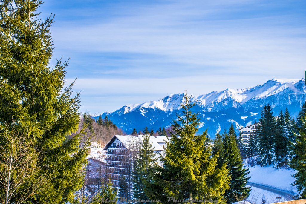 Cheile Gradiştei resort by Costel Munteanu / 500px