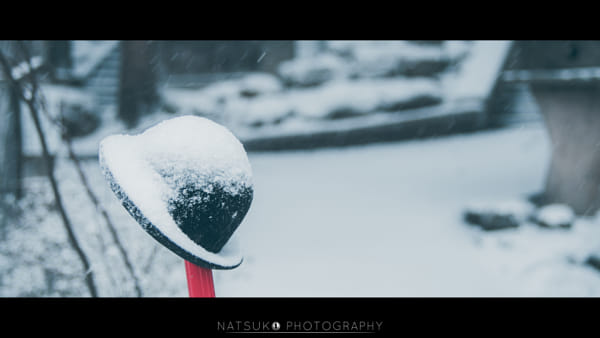 Canon EF 50-200mm f/3.5-4.5L sample photos - ExploreCams Canon EF 50-200mm f/3.5-4.5L sample photos - ExploreCams