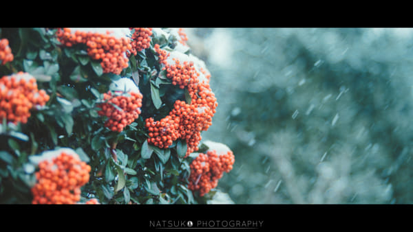 Canon EF 50-200mm f/3.5-4.5L sample photos - ExploreCams Canon EF 50-200mm f/3.5-4.5L sample photos - ExploreCams