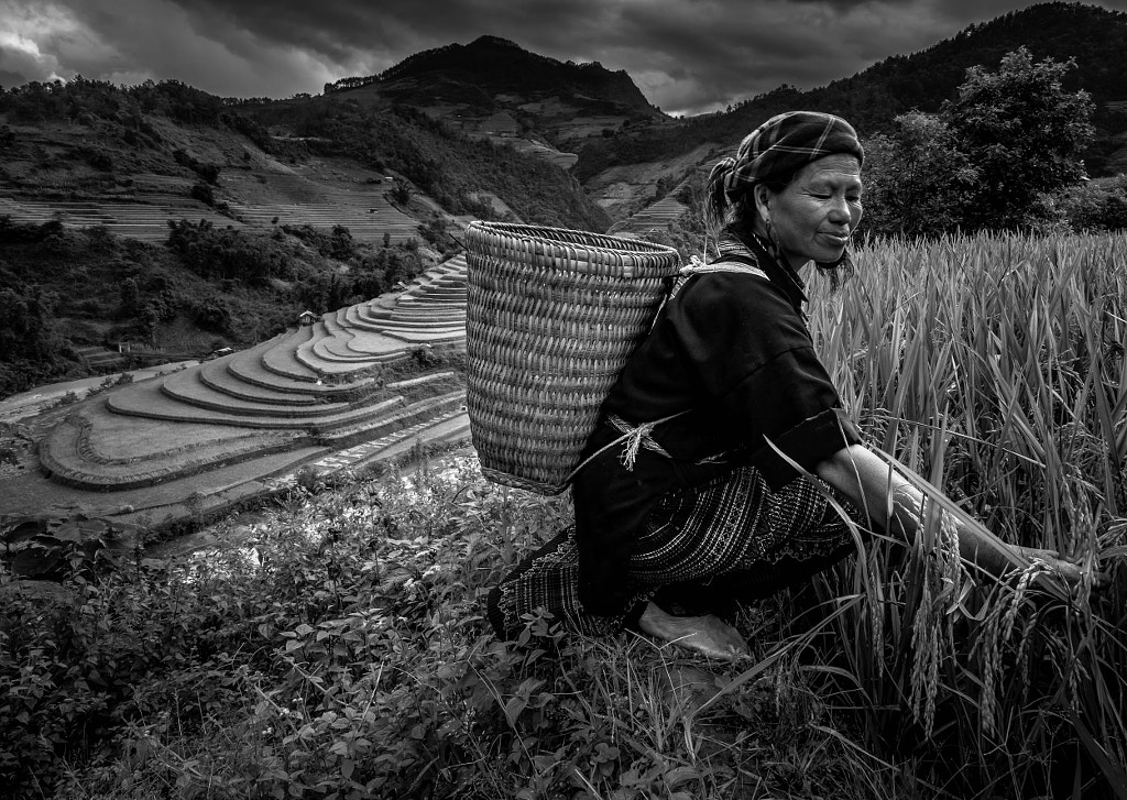 mu cang chai by enrico barletta / 500px