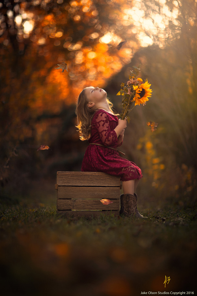 My World by Jake Olson Studios / 500px
