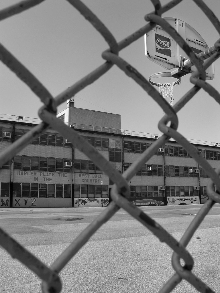 Harlem plays the best ball in the country by David Sikorsky / 500px