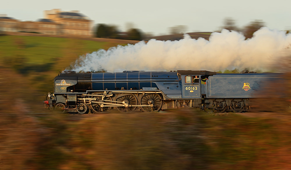 Tornado 60163 Class A1 Steam Engine by Pete Withers / 500px