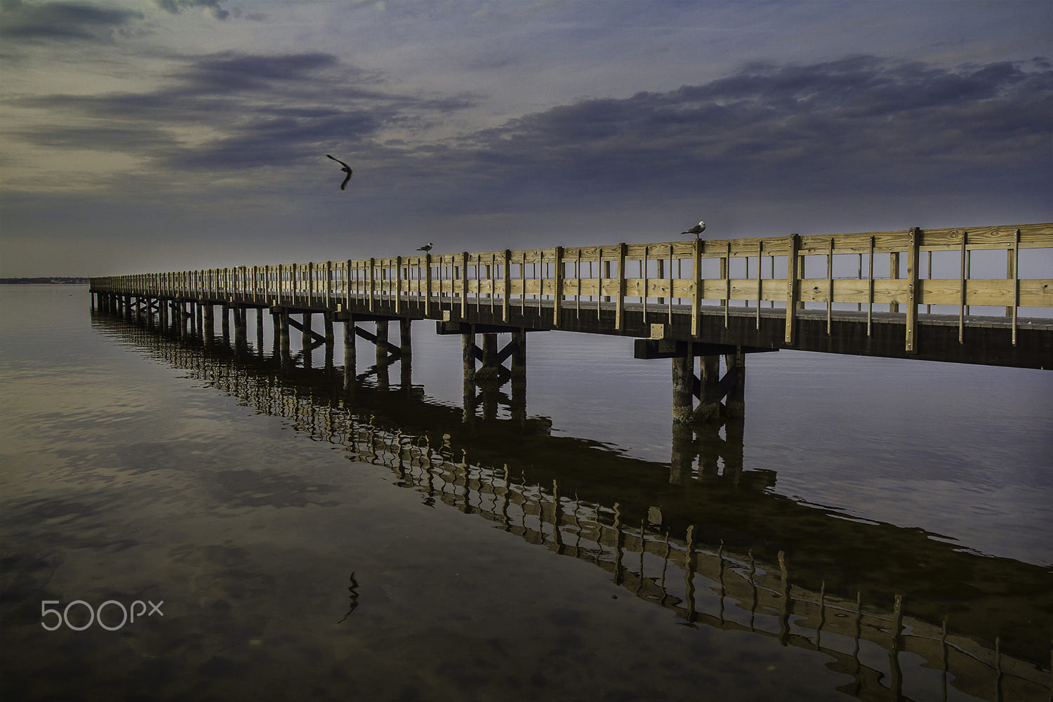 14th Ave Pier by Ed Hewitt / 500px