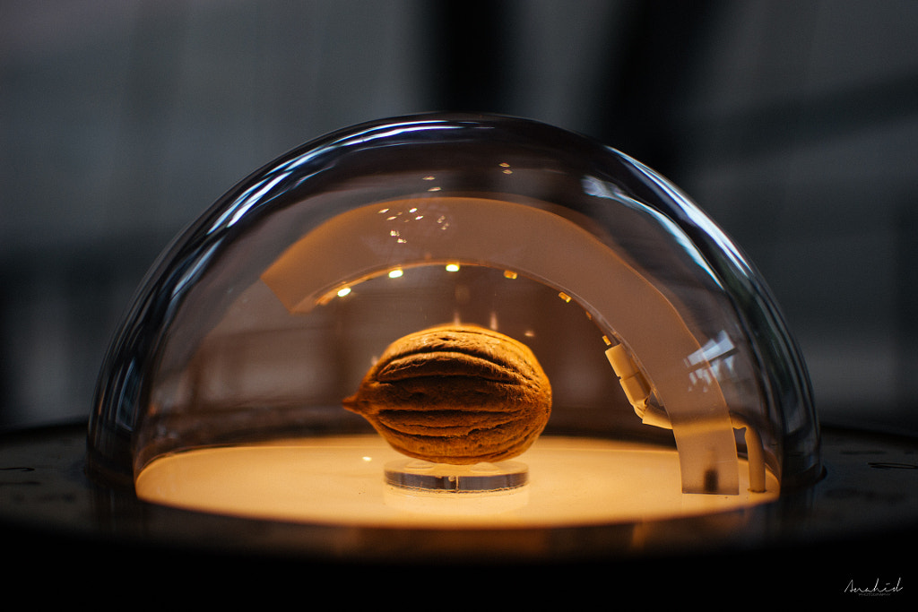 semilla by Anahid Rojas / 500px