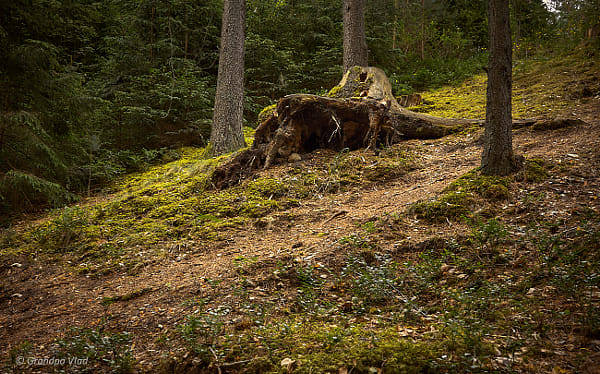 four minus one... by Uladzimir Mikhaliuk | 500px