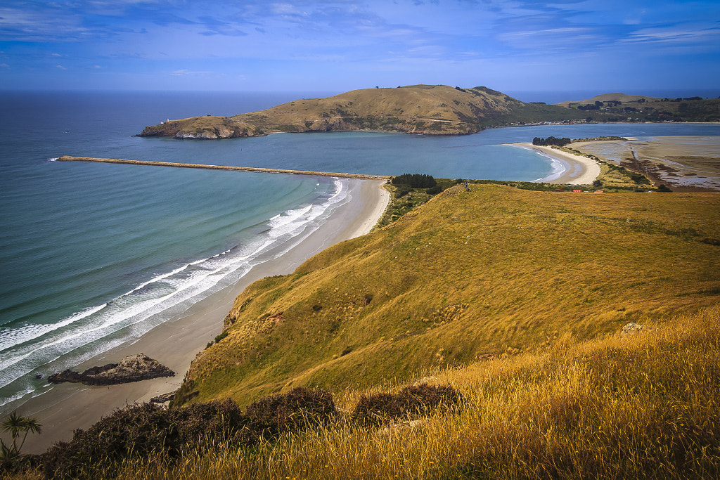 Entrance to Otago Harbour: Taiaroa Head and mole by Graeme Scott / 500px